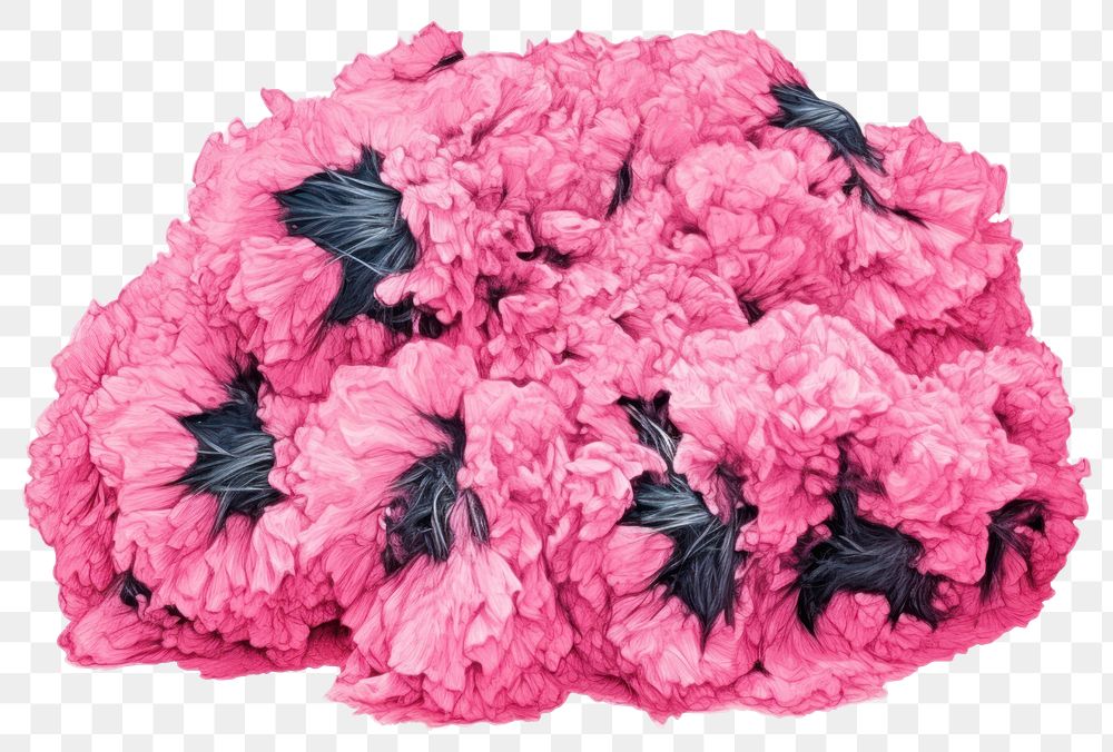 PNG Vibrant pink floral illustration | Free PNG - rawpixel