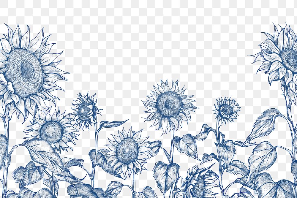 PNG Detailed blue sunflower illustration | Free PNG - rawpixel