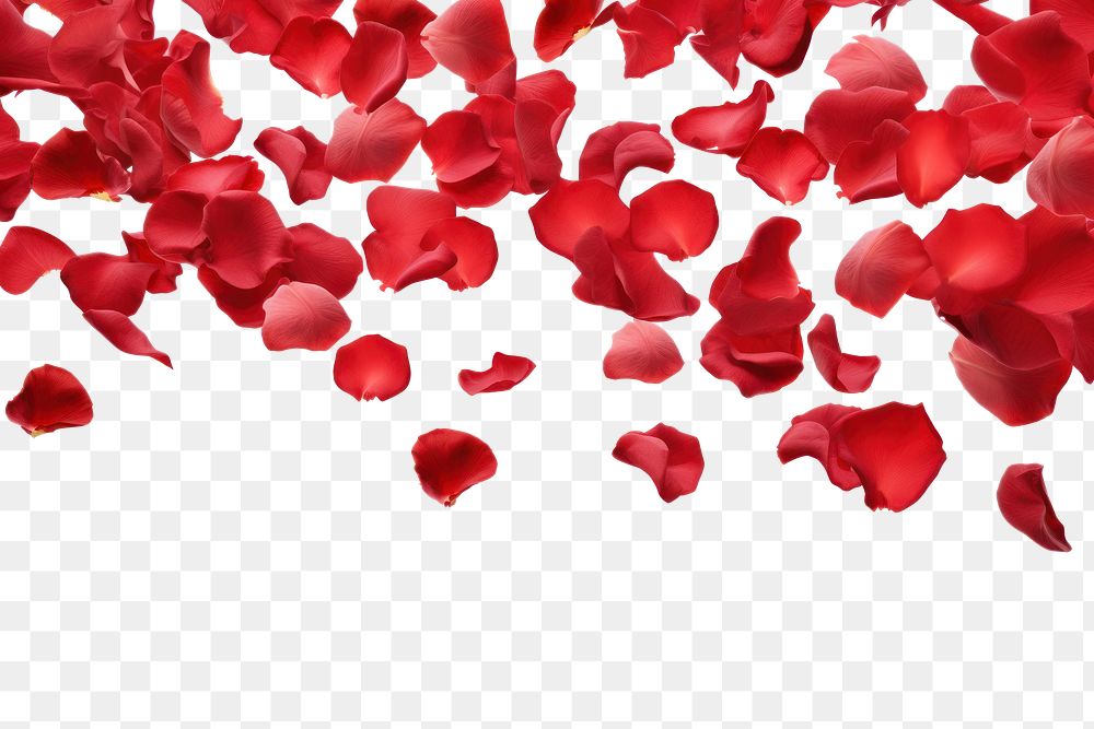 PNG Red rose petals falling | Premium PNG - rawpixel