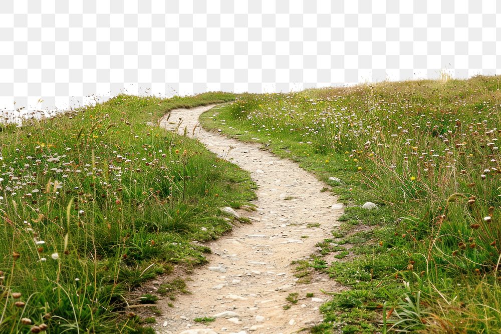 PNG Serene countryside path view | Premium PNG - rawpixel