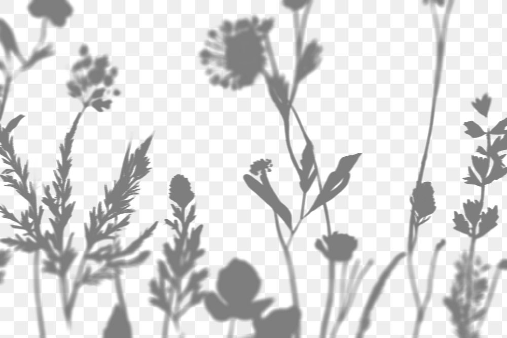 Floral shadow png nature overlay | Premium PNG - rawpixel
