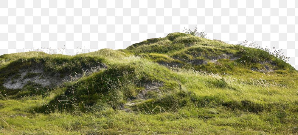PNG Green grassy hill landscape | Premium PNG - rawpixel