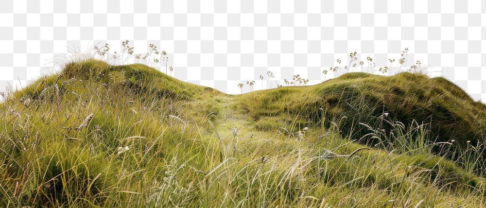 PNG Serene grassy hill landscape | Premium PNG - rawpixel