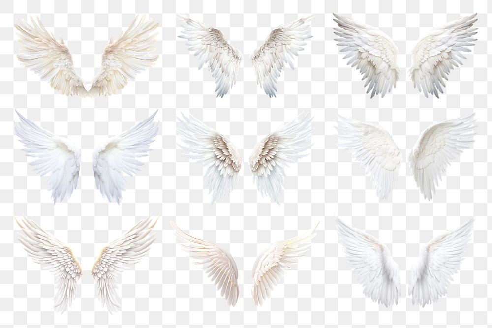 PNG Angel wings element set | Free PNG - rawpixel
