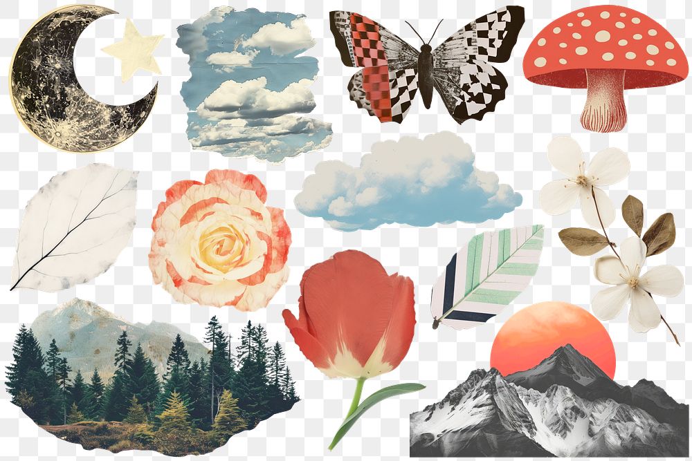 PNG nature collage element set, | Premium PNG - rawpixel