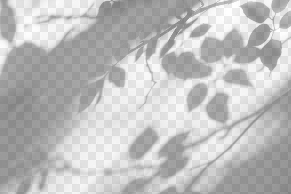 PNG Soft shadow leaves pattern | Free PNG - rawpixel