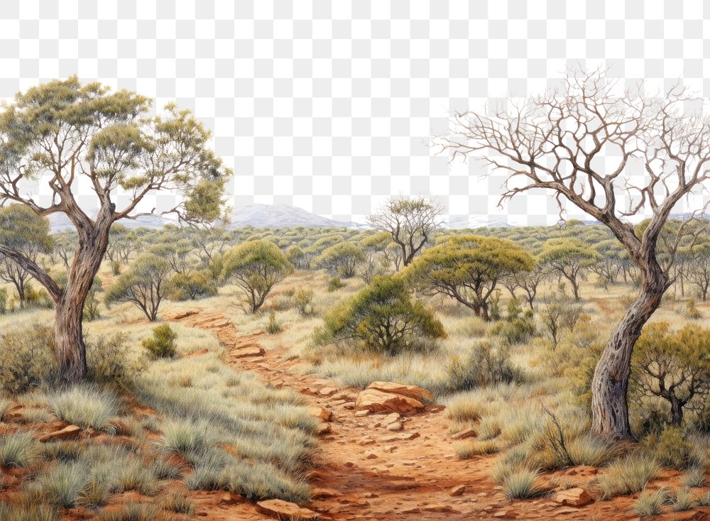 Plants From Africa PNG Images | Free Photos, PNG Stickers, Wallpapers ...