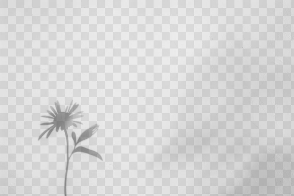 PNG Minimalist flower shadow art | Free PNG - rawpixel