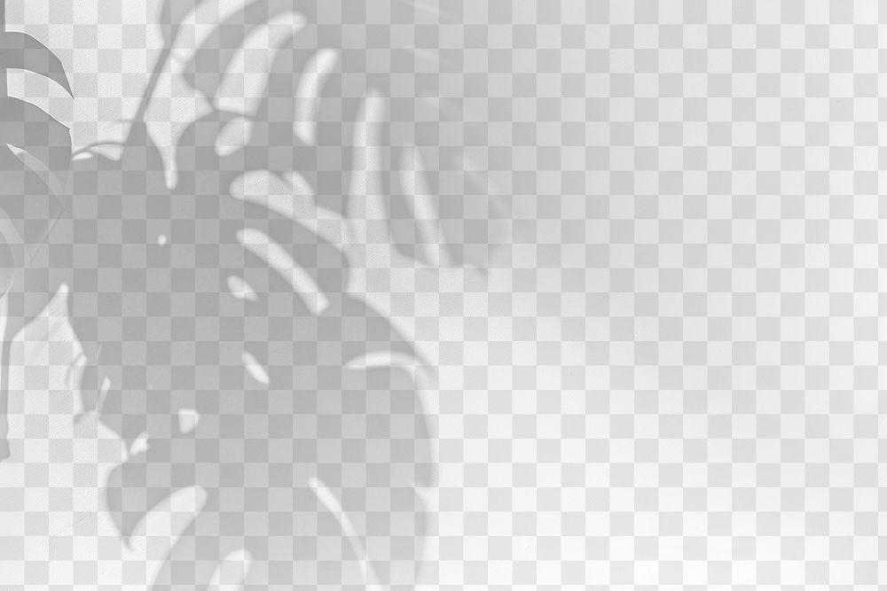 PNG Monstera leaf shadow wall | Free PNG - rawpixel