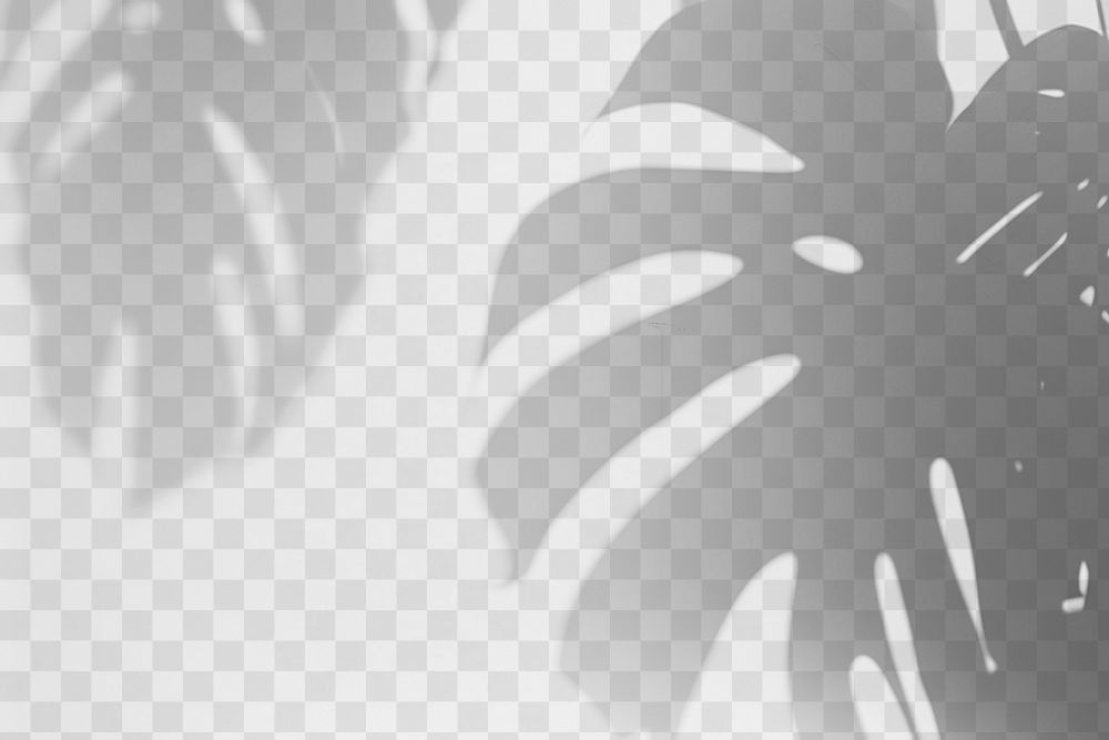 PNG Monstera leaf shadow minimalist | Free PNG - rawpixel