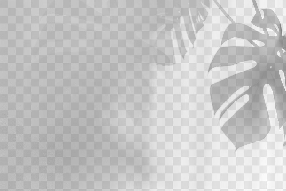 PNG Monstera leaves shadow abstract | Free PNG - rawpixel