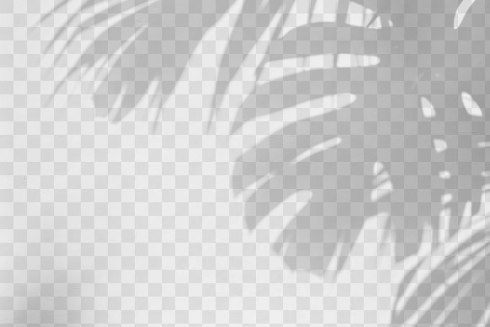 PNG Tropical leaf shadow wall | Free PNG - rawpixel