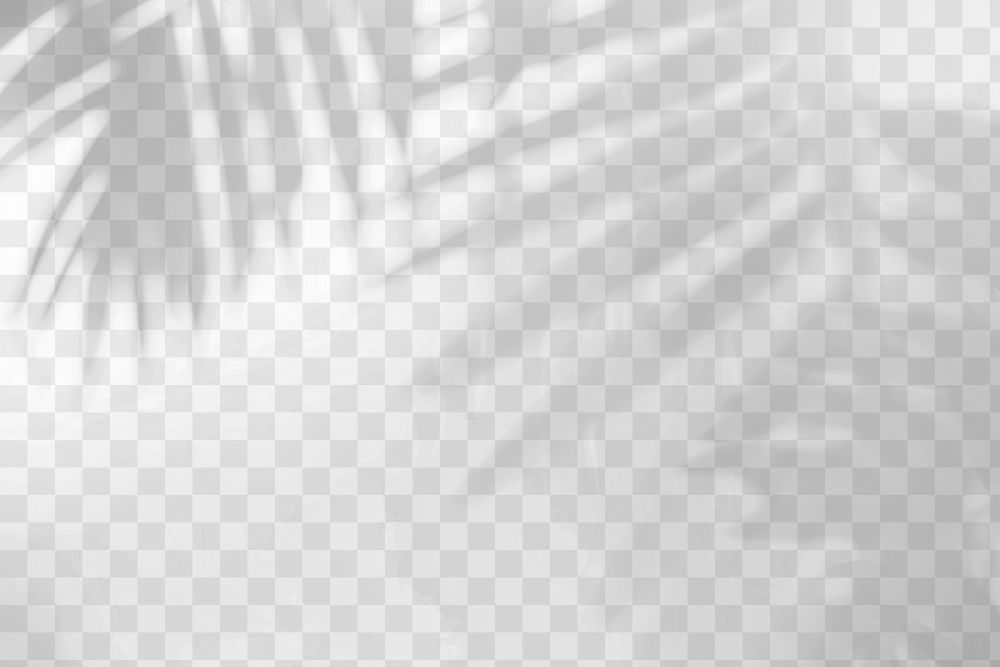 PNG Tropical leaf shadows background | Free PNG - rawpixel