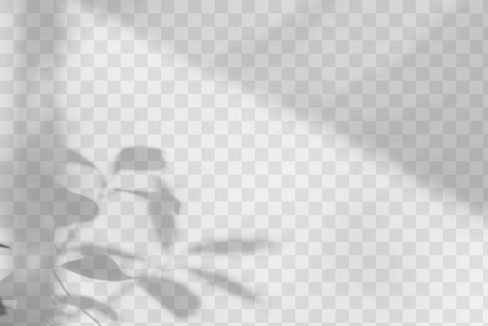 PNG Minimalist plant shadow wall | Free PNG - rawpixel