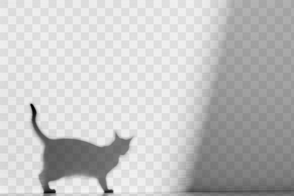PNG Cat shadow minimalist wall | Free PNG - rawpixel