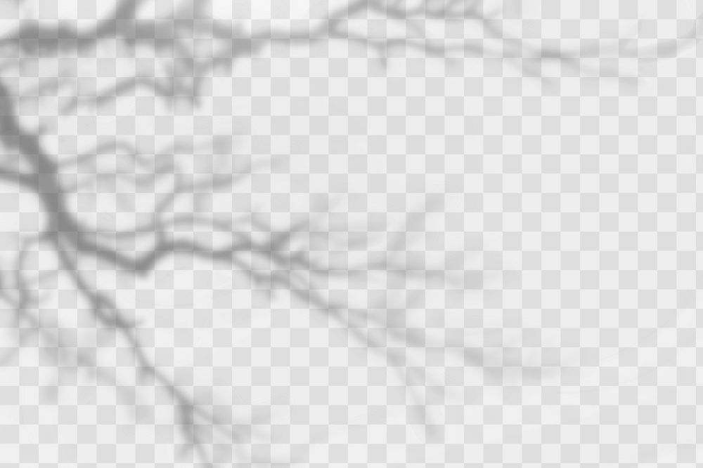 PNG Abstract tree branch shadows | Free PNG - rawpixel