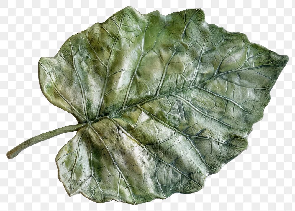 PNG Realistic green leaf sculpture | Free PNG - rawpixel