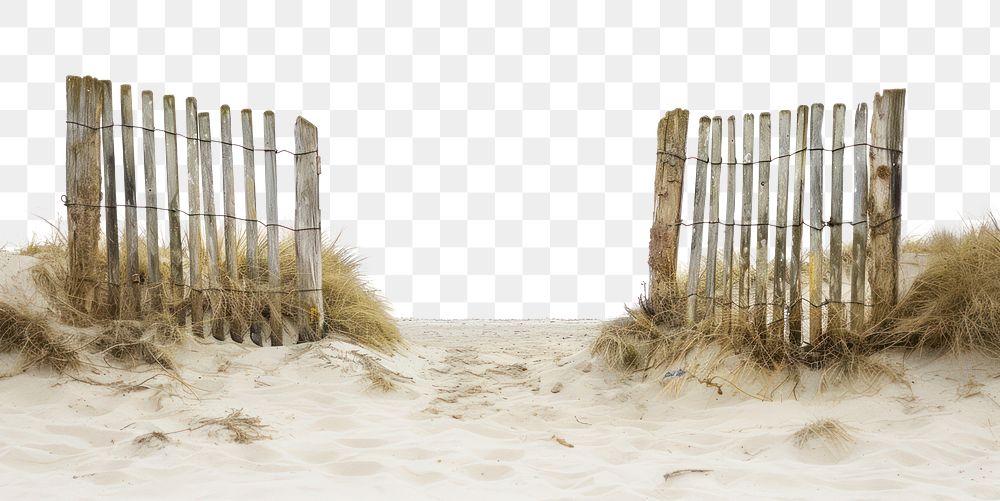 PNG Serene sandy beach entrance | Free PNG - rawpixel