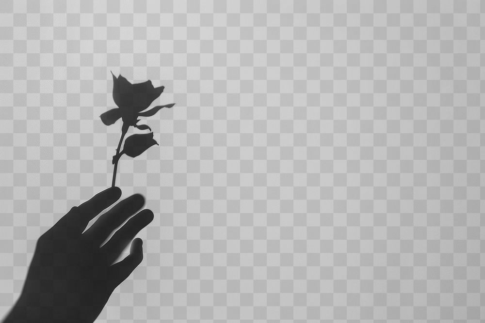 PNG Shadow hand holding rose | Free PNG - rawpixel