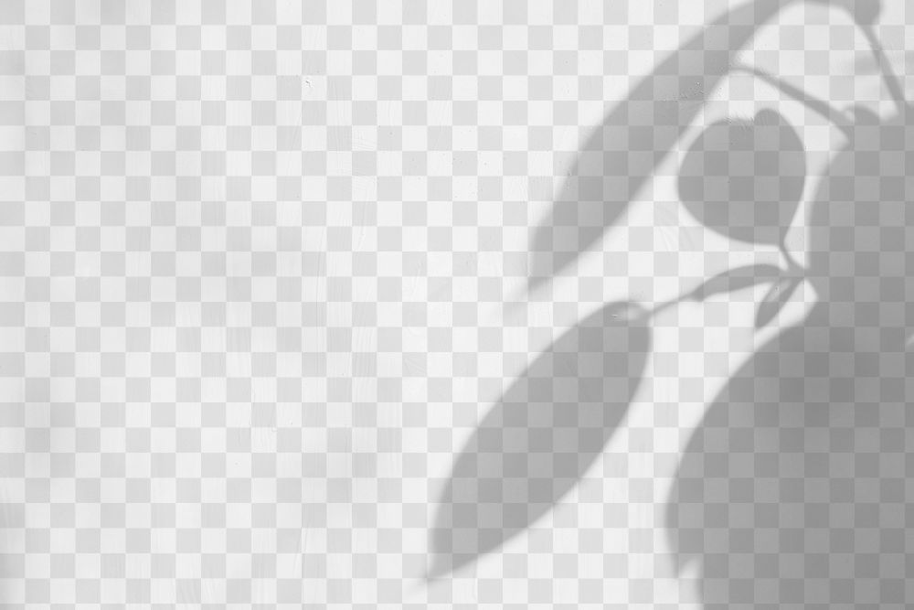 PNG Minimalist plant shadow wall | Free PNG - rawpixel