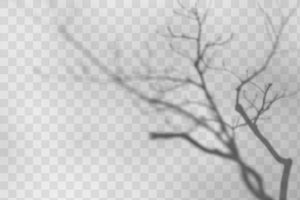 PNG Abstract shadow tree | Free PNG - rawpixel