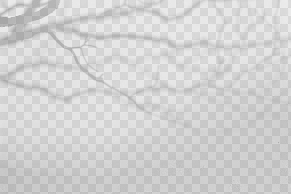 PNG Abstract tree branch shadows | Free PNG - rawpixel