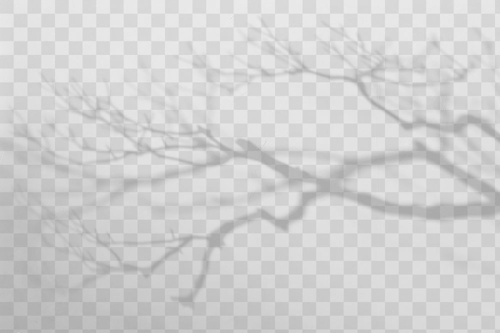 Black Mist PNG Images | Free Photos, PNG Stickers, Wallpapers ...