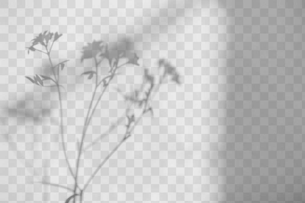 PNG Minimalist floral shadow art | Free PNG - rawpixel