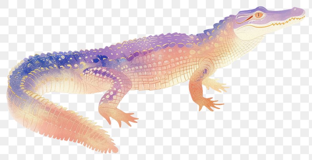 PNG Colorful alligator illustration transparent | Free PNG - rawpixel
