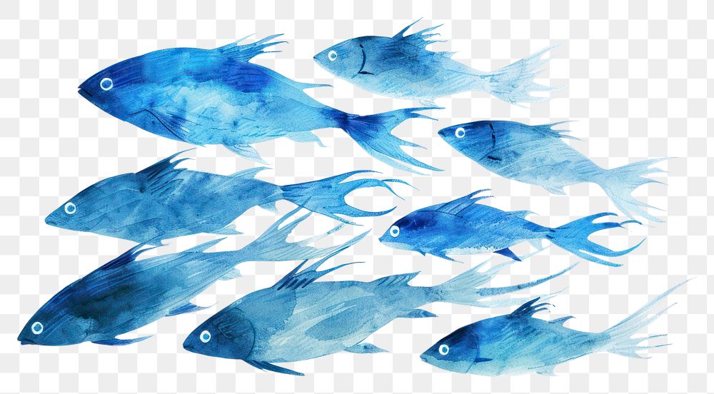 PNG School 10 fish water | Free PNG - rawpixel