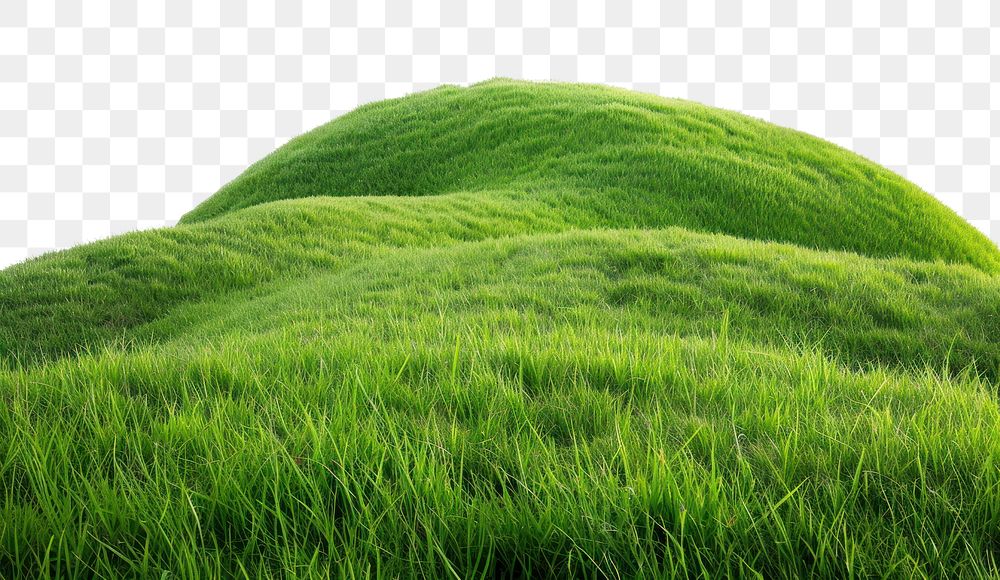 Beautiful Photos Transparent Background Design Images | Free Photos ...