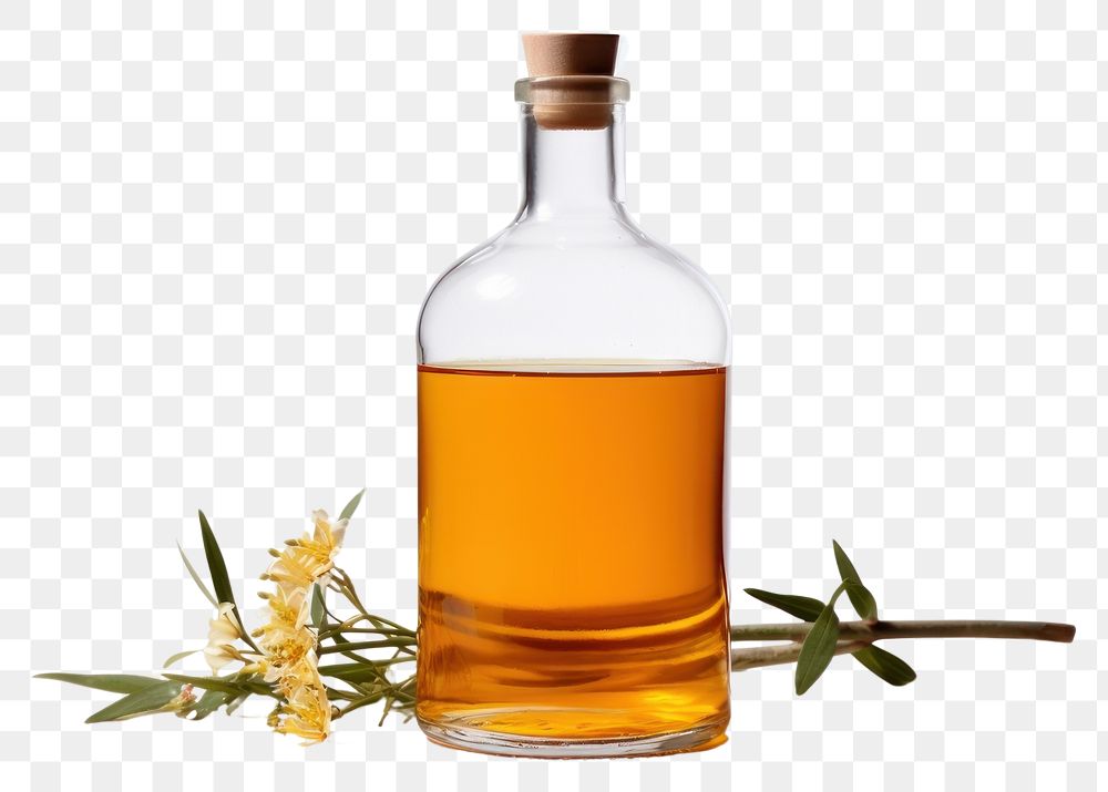 PNG Kombucha glass food cooking | Free PNG - rawpixel