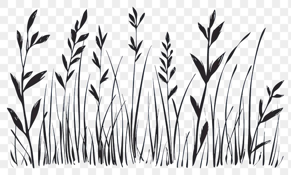 PNG Grass drawing illustrated sketch. | Free PNG - rawpixel