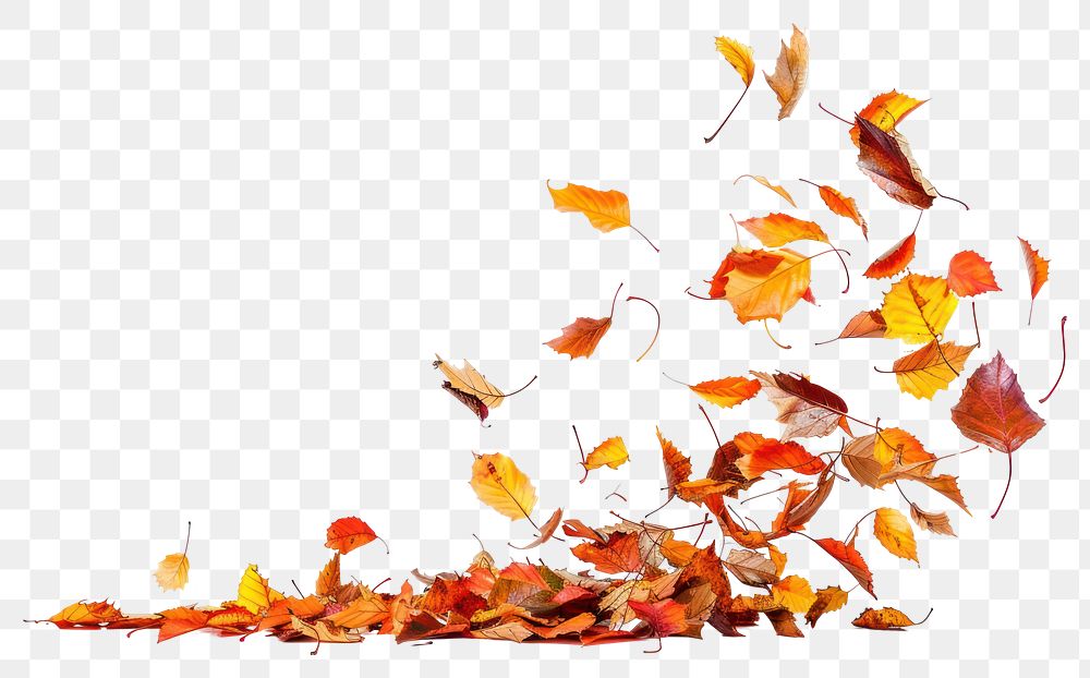 Leaf Pile PNG Images | Free Photos, PNG Stickers, Wallpapers ...