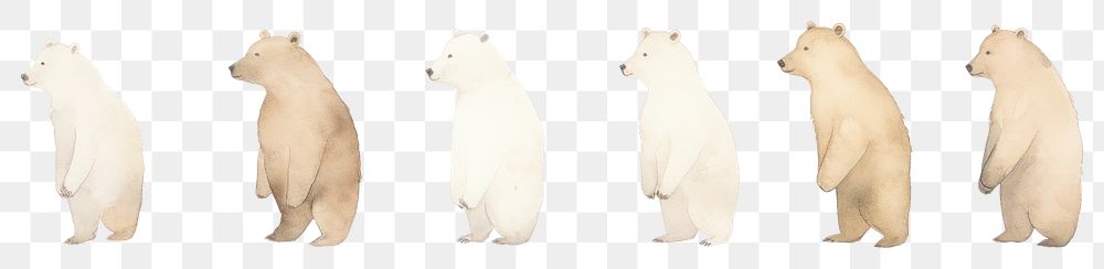 PNG Bears as divider watercolor | Free PNG - rawpixel