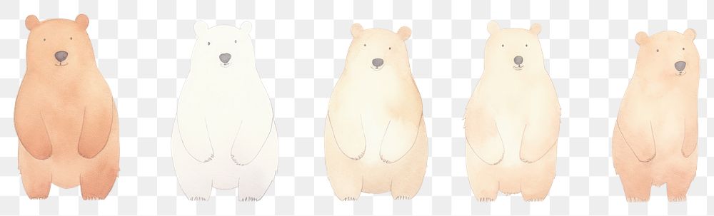 PNG Bears as divider watercolor | Free PNG - rawpixel