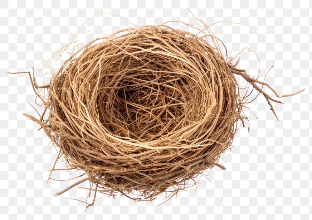 Nest fragility haystack circle. | Free PNG - rawpixel