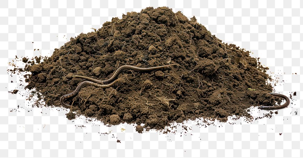 Transparent PNG Earthworm Images | Free Photos, PNG Stickers ...