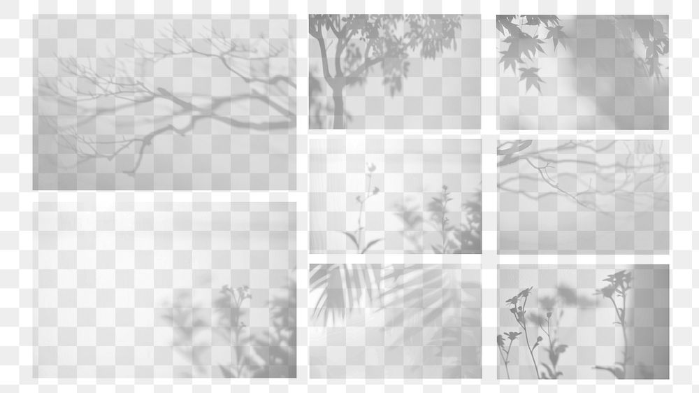 PNG tree and branch shadow | Free PNG - rawpixel