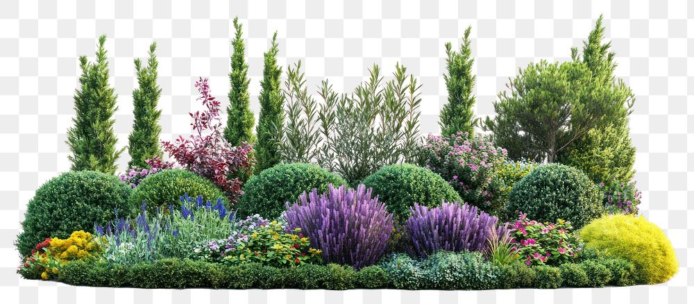 PNG Vibrant garden diverse plants | Free PNG - rawpixel