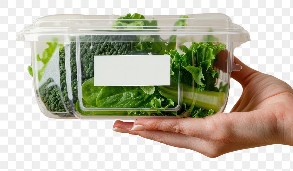 PNG Lunchbox packaging vegetable food | Free PNG - rawpixel