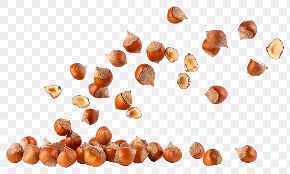 PNG Falling hazelnuts plant food | Premium PNG - rawpixel
