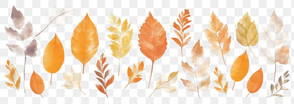 PNG Autumn leaves as divider | Free PNG - rawpixel