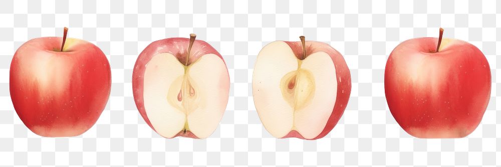 PNG Red apples as divider | Free PNG - rawpixel