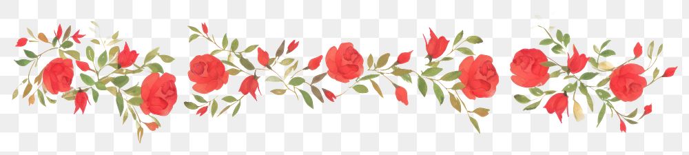 Red Rose Line Divider PNG Images | Free Photos, PNG Stickers ...