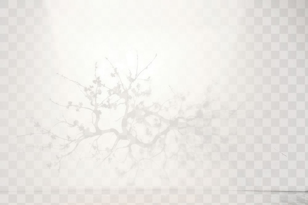 Elegant tree shadow png paint | Free PNG - rawpixel