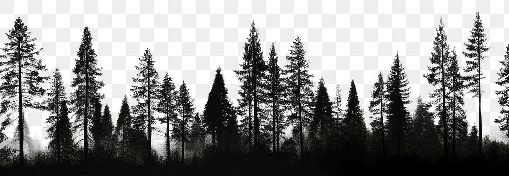 PNG Black shadow pine trees | Free PNG - rawpixel