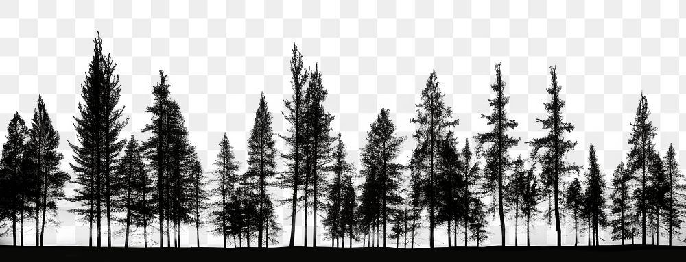 PNG Black shadow pine trees | Premium PNG - rawpixel