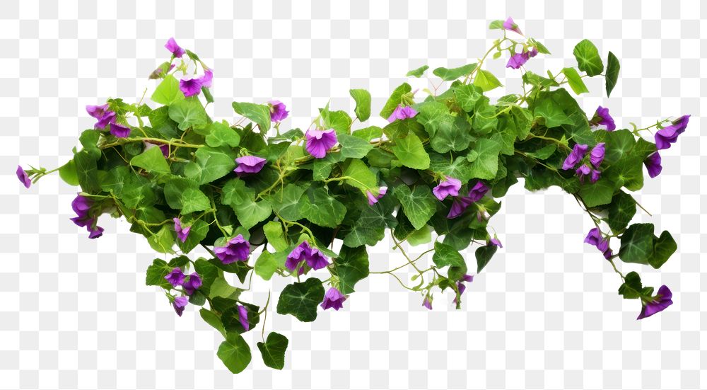 Green Busy Background Images | Free Photos, PNG Stickers, Wallpapers ...