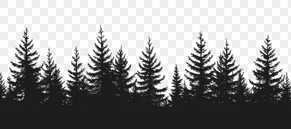 PNG Pine tree border trees | Free PNG - rawpixel